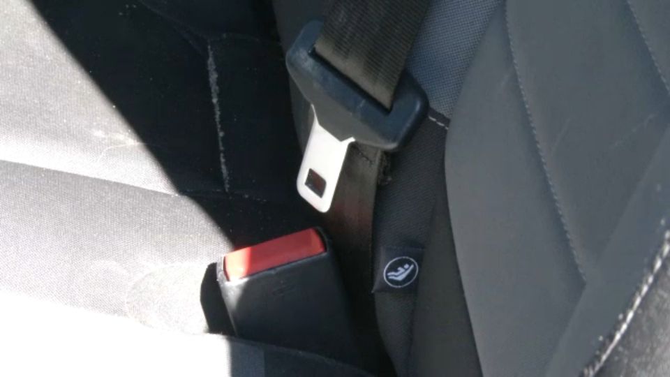 New Yorkers Must Now Buckle Up in the Back Seat