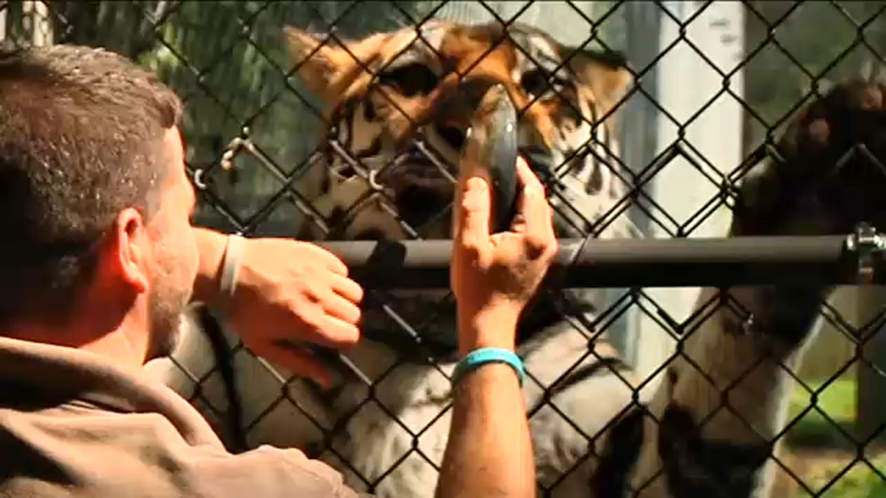 New Projects Coming to the Seneca Park Zoo