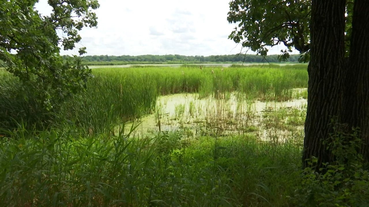 Earth Day celebrates 50 years after starting in Wisconsin