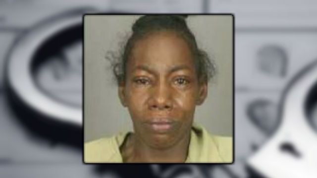 Woman Charged in Rochester Homicide Arraigned on Murder Charge