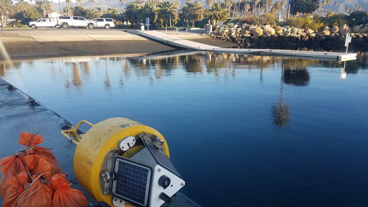 How solar-powered buoys keep beaches safe from sharks
