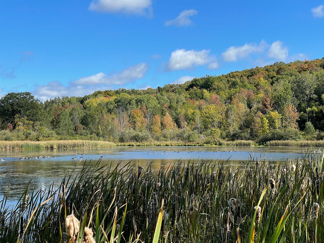 Peak fall color has reached the Adirondacks