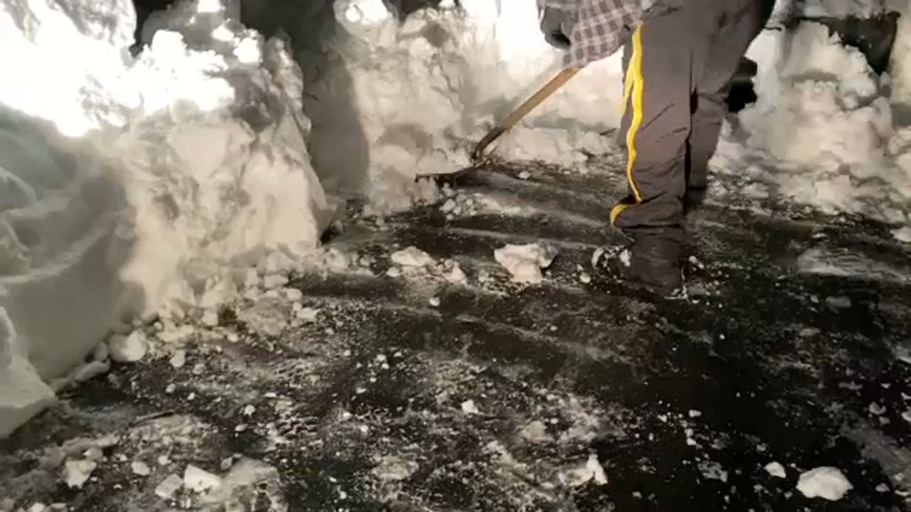 Shoveling Out Community Members