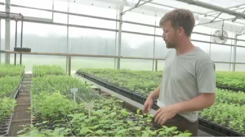 Plant Center an Important Resource