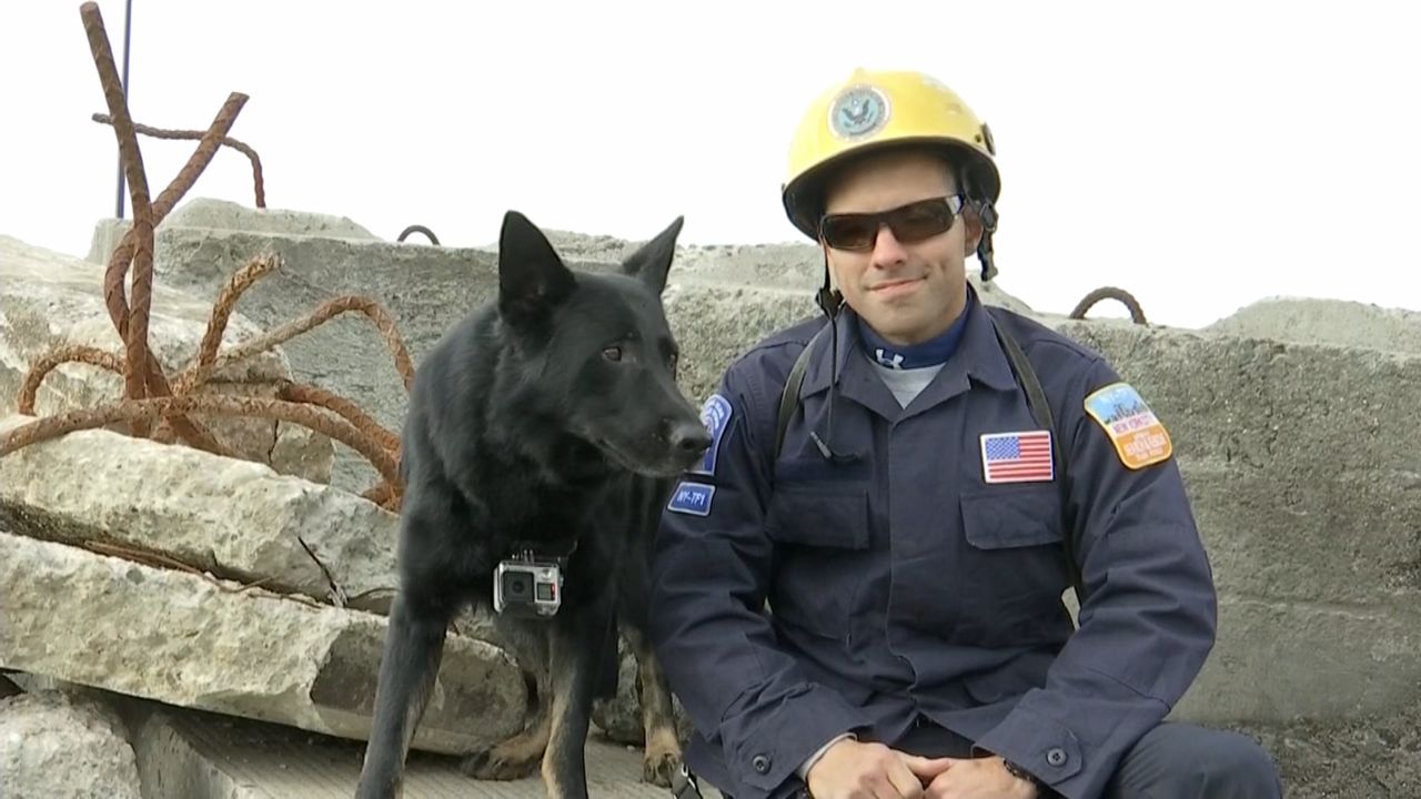How FEMA and NYPD Train Canines for When Disaster Strikes