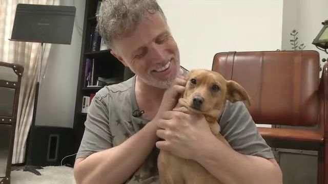 This Red Hook Singer Can Thank Dogs for Supporting His Music Career