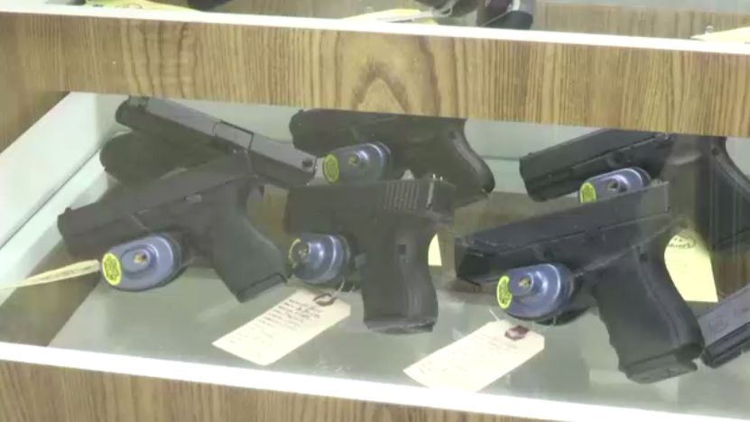 Recent Shootings Reignite Second Amendment Debate on Gun Control