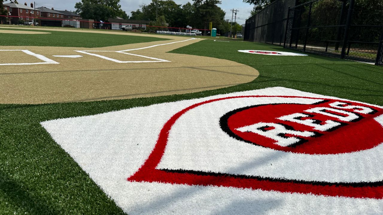 Hundreds volunteer for Reds Community Makeover