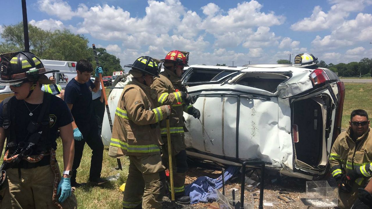 Alligator, snakes on the run after crash on NB I-35