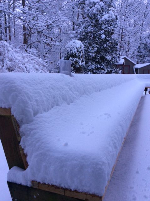 Snow-starved North Carolina has hope for February flakes
