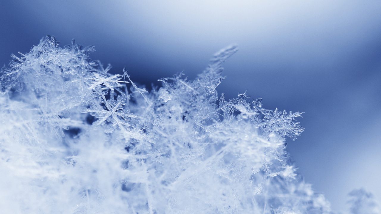Understanding The Different Types Of Snow