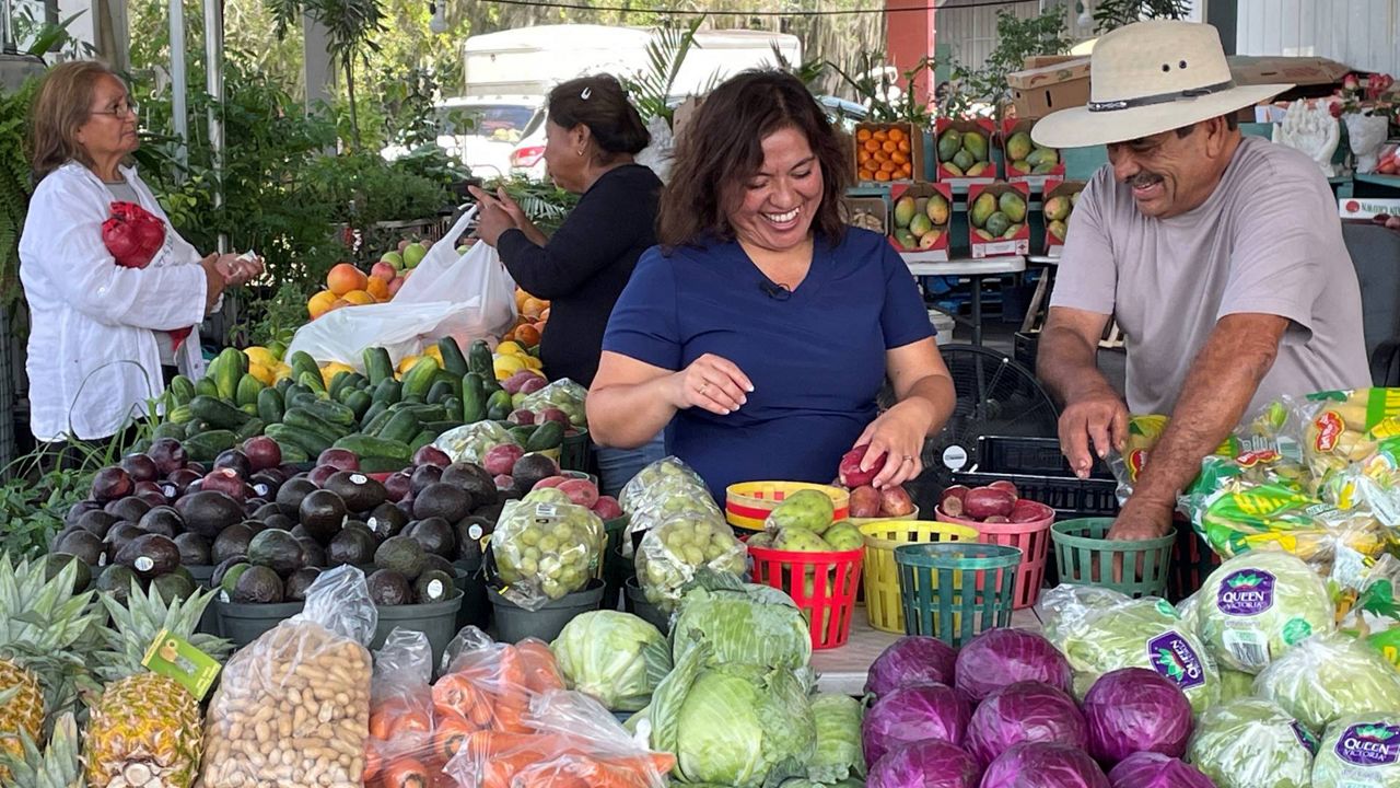 Farmworker to BayCare nurse: a chance meeting changed lives