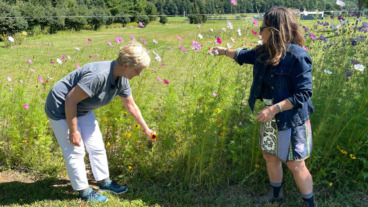 Southampton volunteer group supporting environment