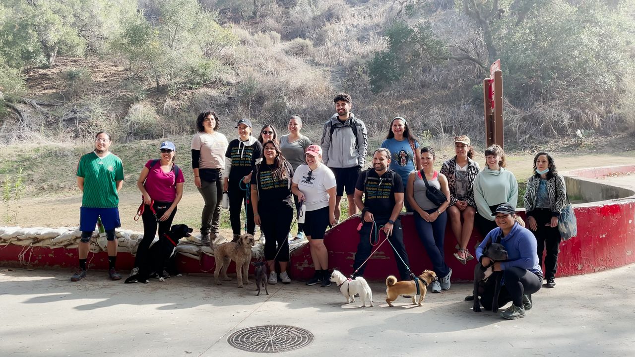 Spanish Sin Pena helping Latinos reconnect with the language