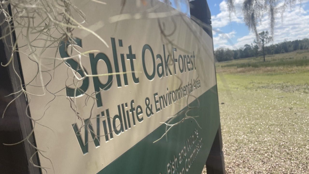 FWC votes to build a toll road through Split Oak forest