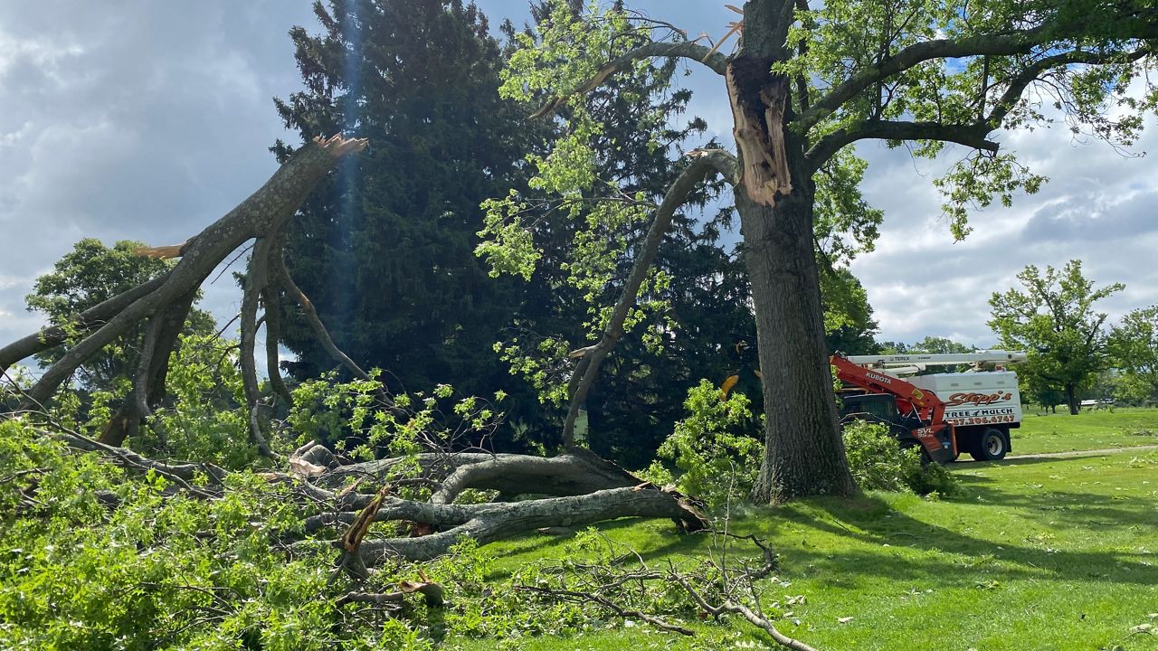 Tornado takes down 90 trees at Springfield Country Club