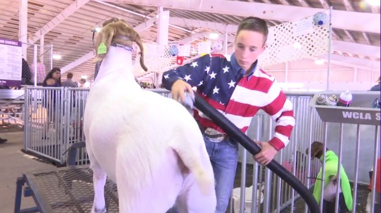 State Fair provides chance to share love of agriculture with all