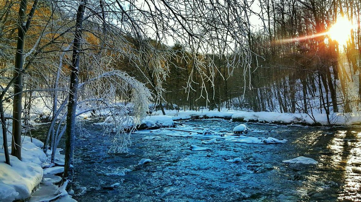 Southern Tier Winter Weather Outlook