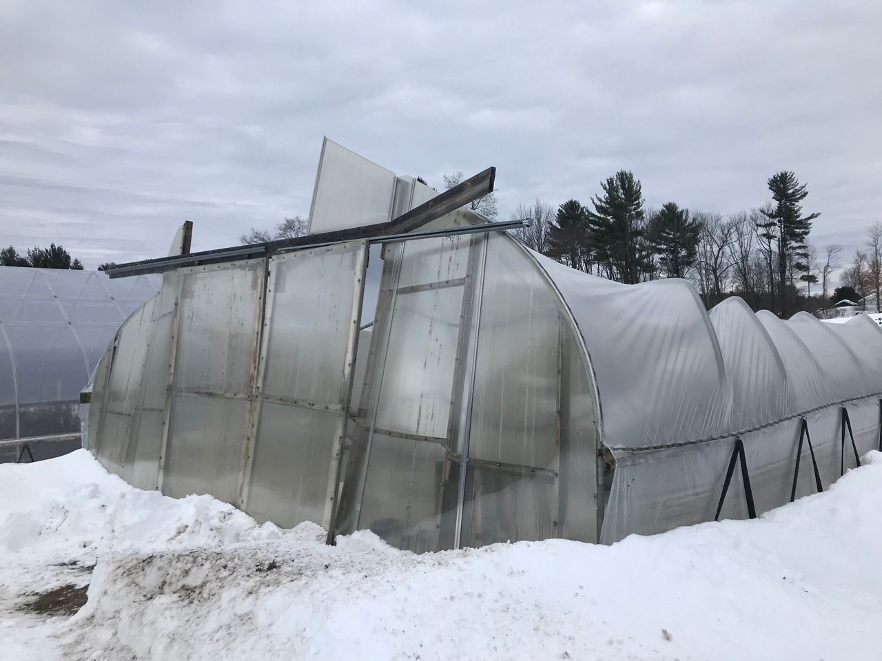 Still Life Farm Greenhouse Collaps