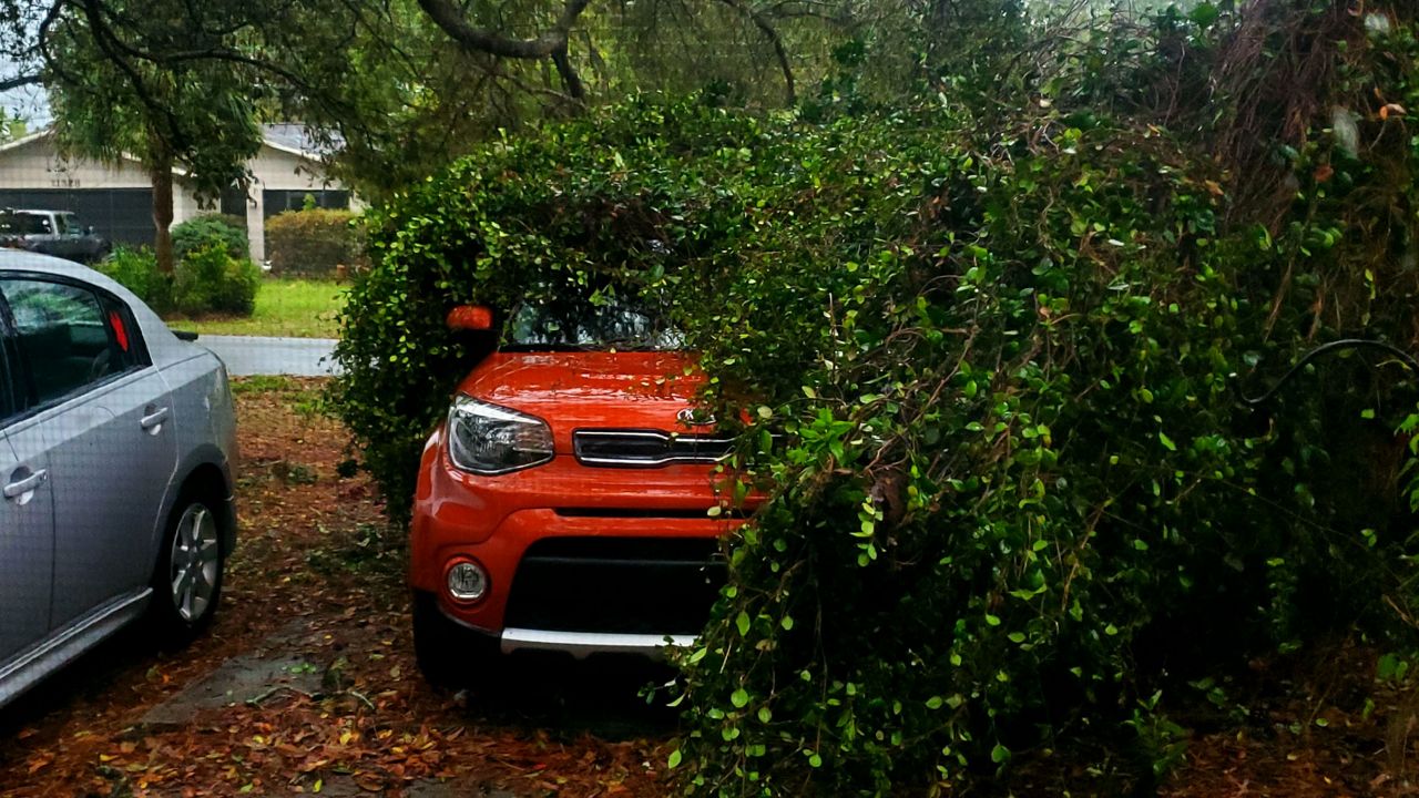 PHOTOS: Tampa Bay area left to clean up storm damage