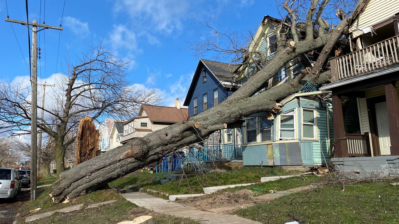The aftermath of Saturday night's wind storm