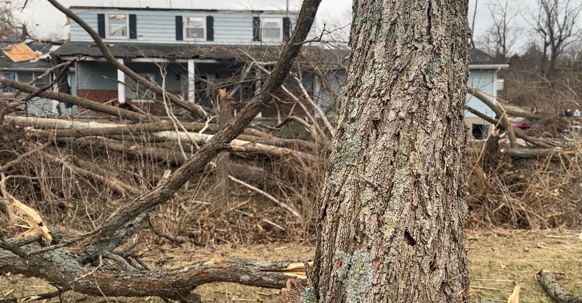 Families escape, begin cleaning up after damaging storms