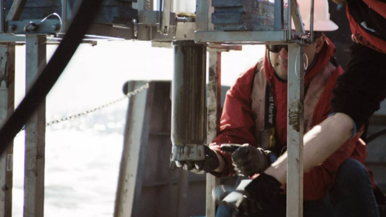 High amounts of pure DDT found off LA coast