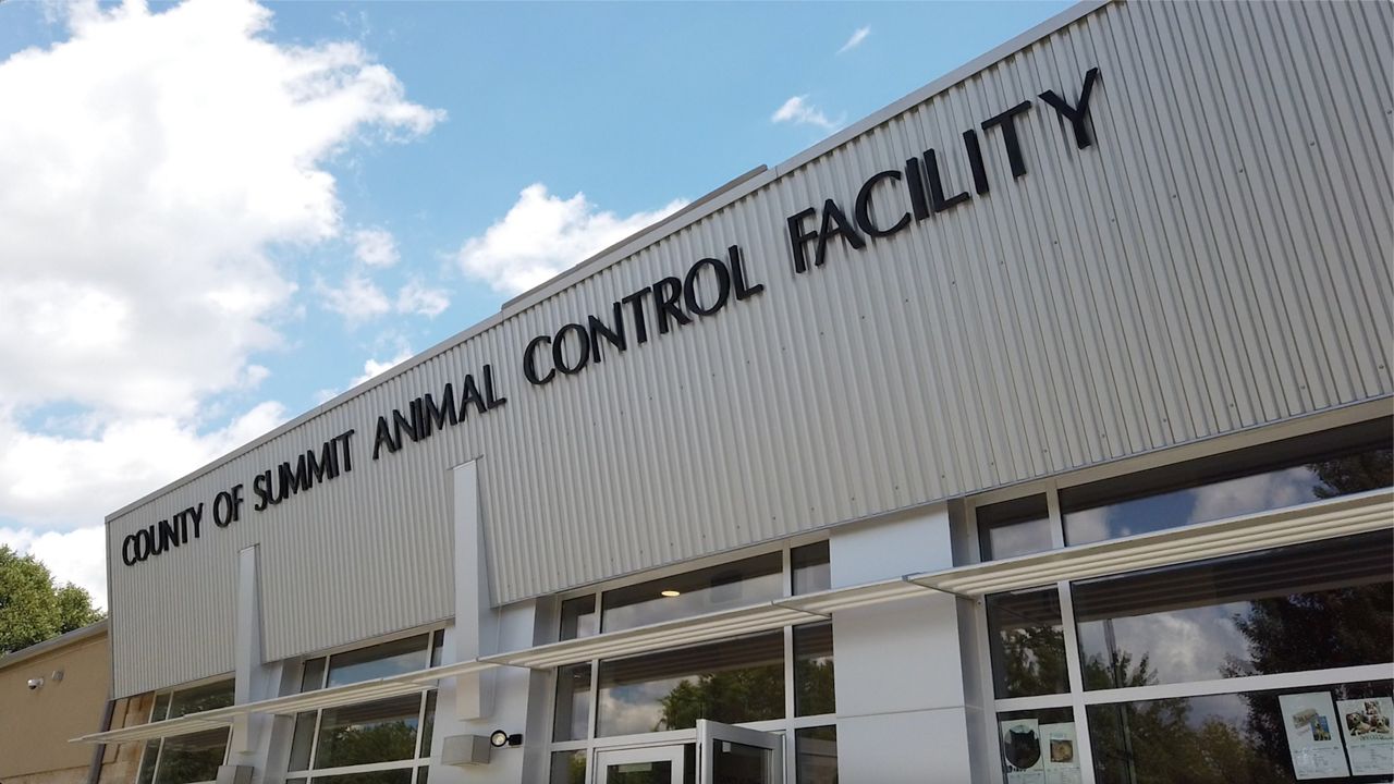 APL in Summit County reduces adoption fees