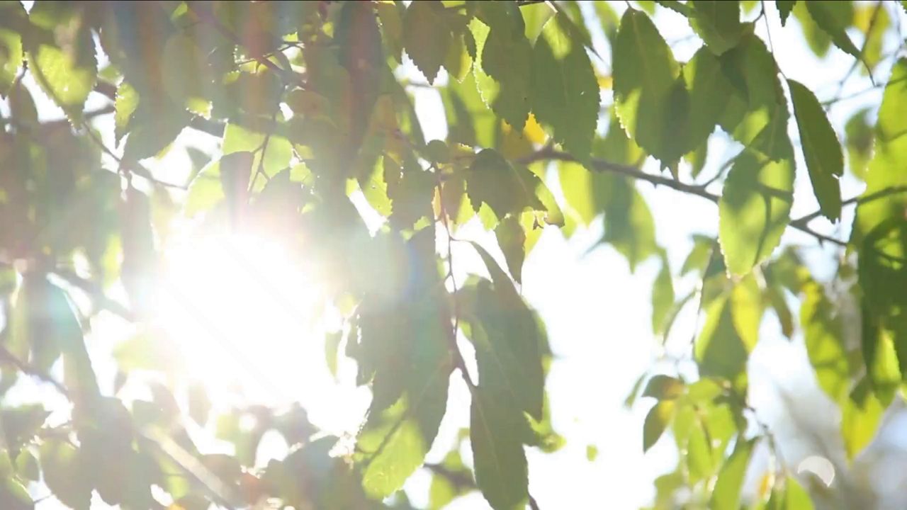 Another day of heat and storm chances