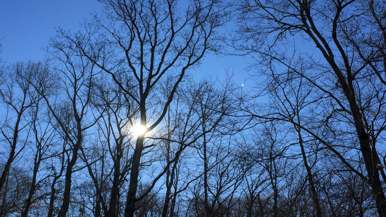 Warming into Our Weekend!