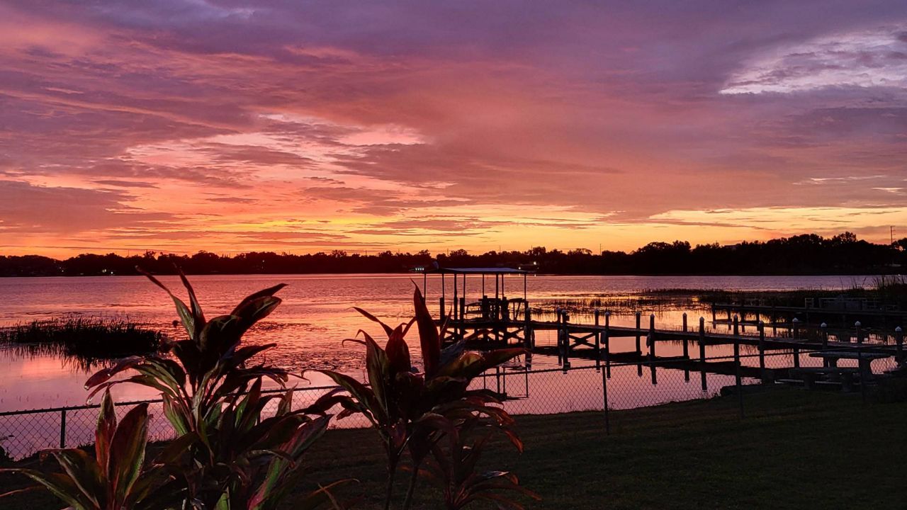 Weekend Digest Tampa Bay December 6 & 7