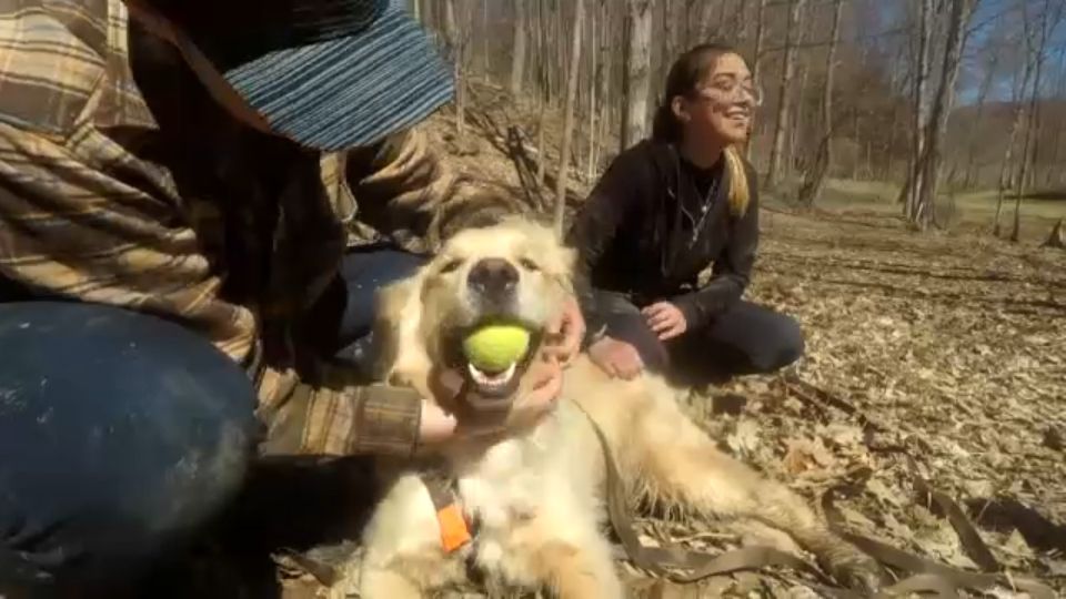 SUNY Cobleskill Training Program Has Gone to the Dogs