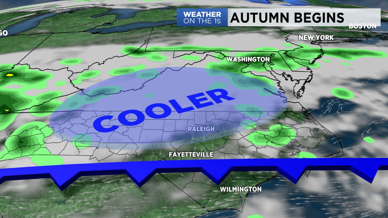 Cooler for the start of autumn