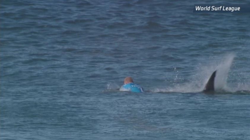 Pro Surfer Fights Off Shark Attack During Event