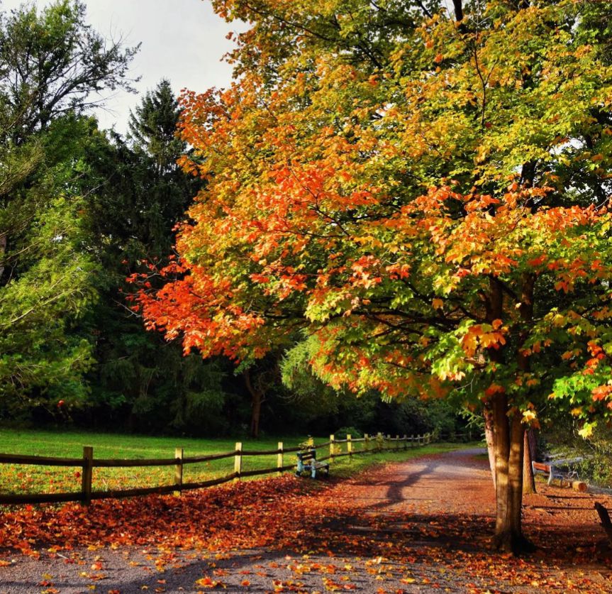 Peak fall color has reached the Adirondacks