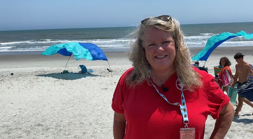 Sea turtle nesting season