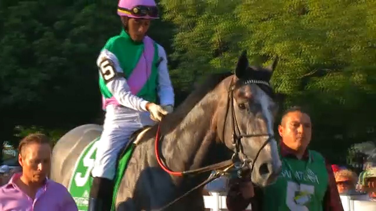 Bill Mott Looking for First Travers Win with Tacitus