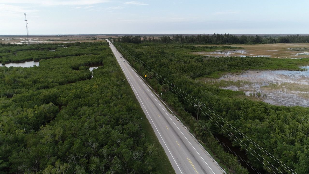 The Tamiami Trail: They Paved Through Paradise