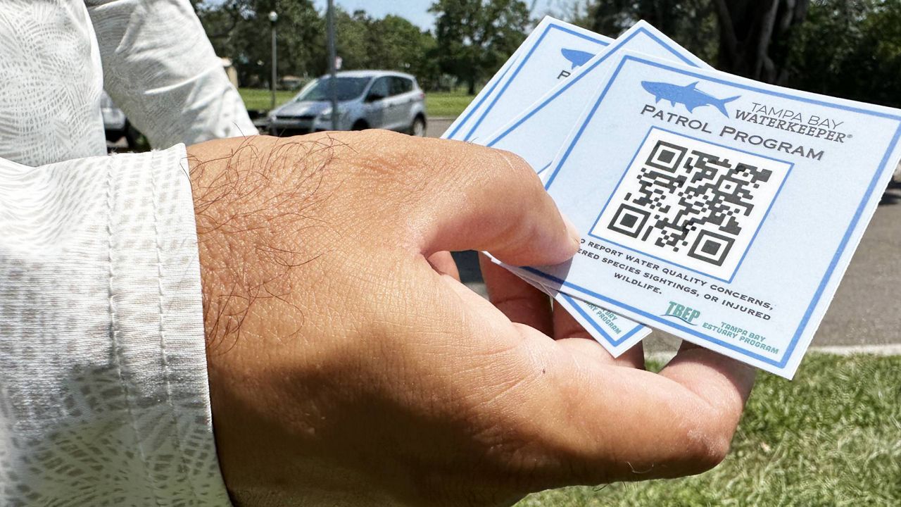 New patrol program aims to improve Tampa Bay water quality