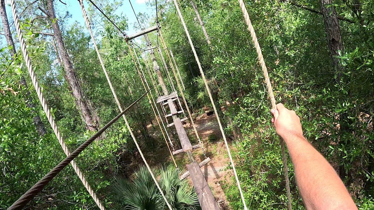 Tree Trek Adventure Park offers aerial obstacle course