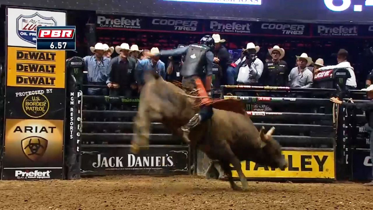 Pro Bull Riders Saddle Up at MSG