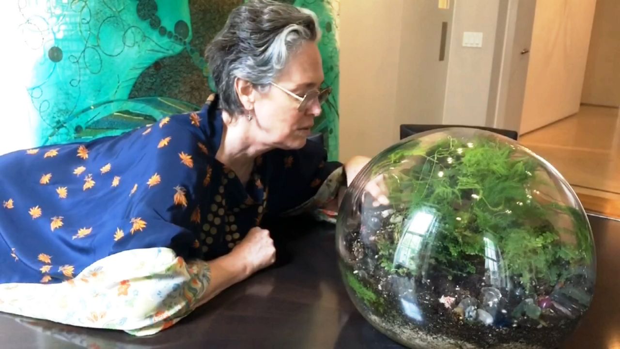 Meet a Brooklyn Artist Who Inspired a Terrarium Trend