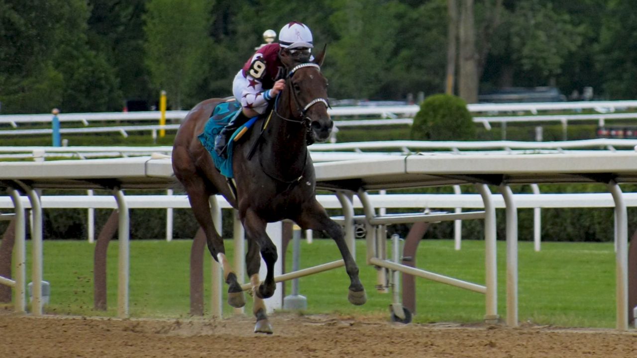Thorpedo Anna ready to make history at Travers