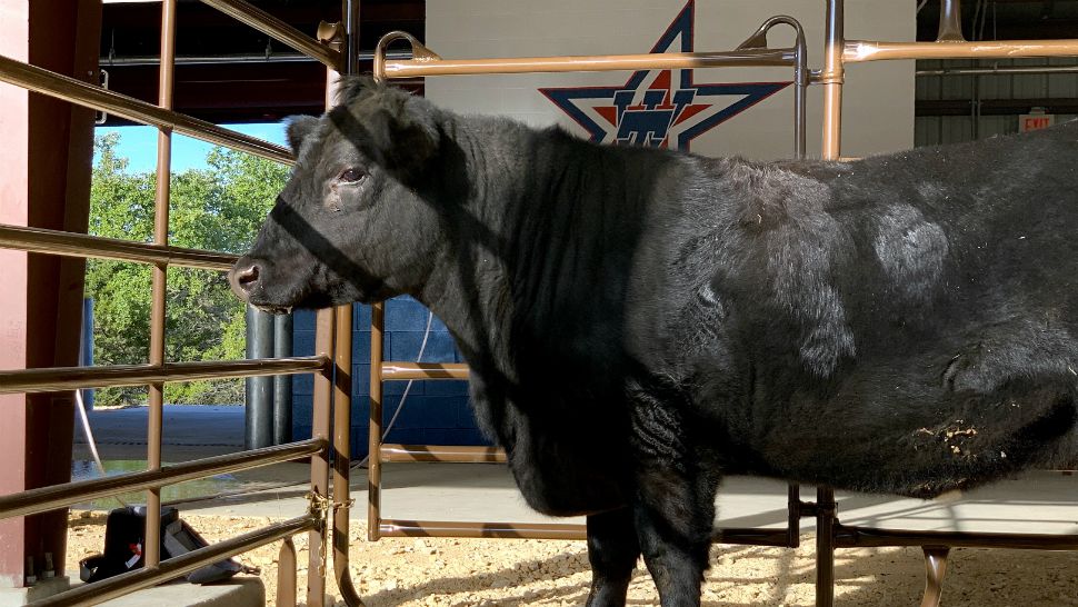 Wimberley ISD Upgrades Ag Barn