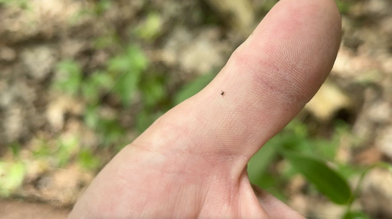 What's leading to the rise in ticks upstate?
