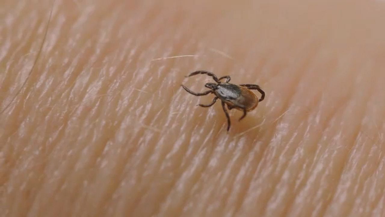 CDC warns tick-borne illnesses are on the rise