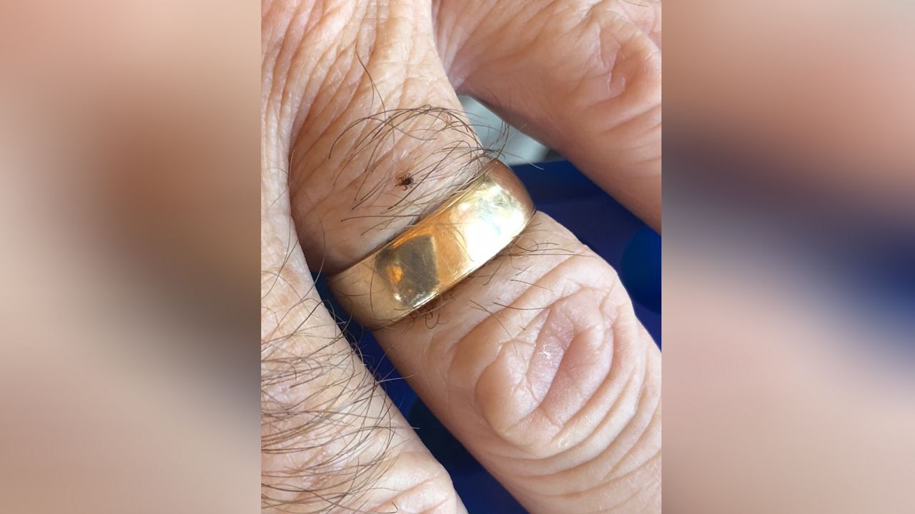 staying safe from ticks