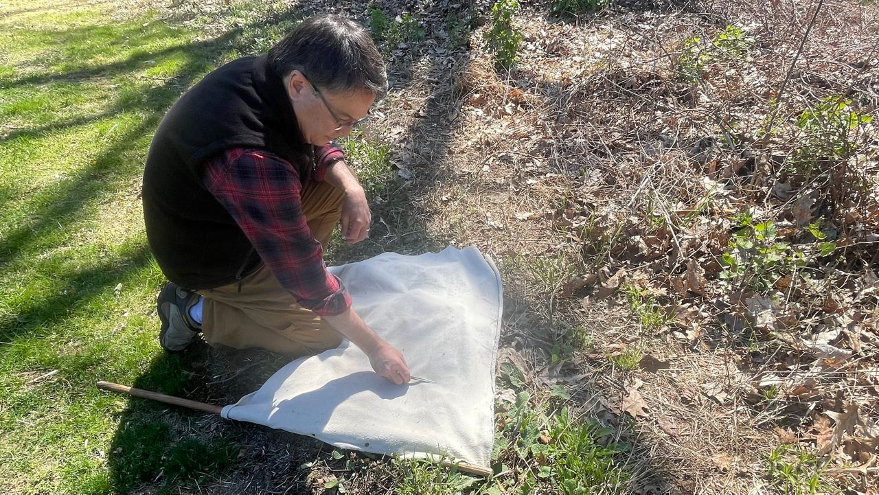 Infectious disease expert gives advice on ticks