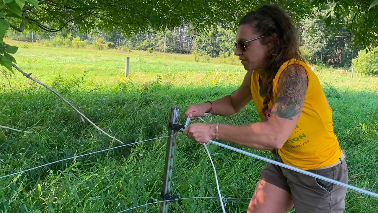 Bouressa Family Farm teaches Wisconsin Women in Conservation
