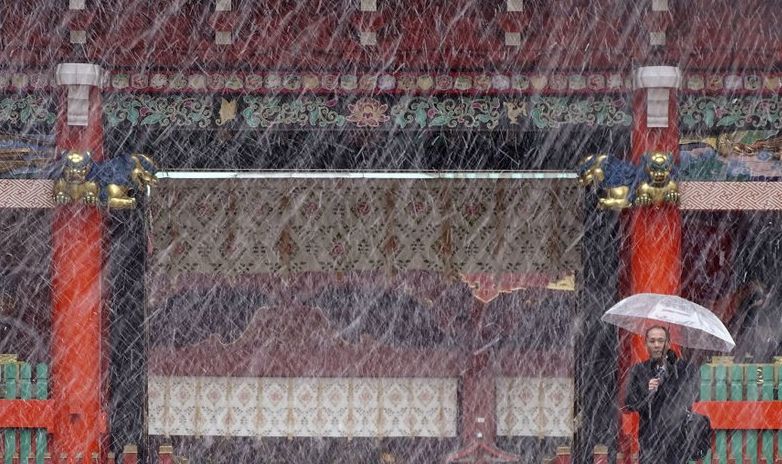 Tokyo Experiences First November Snowfall in Over 50 Years